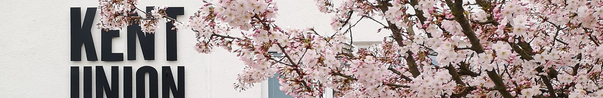 Contact | Kent Students’ Union