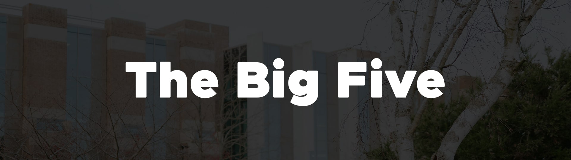 Useful Contacts | Kent Students’ Union