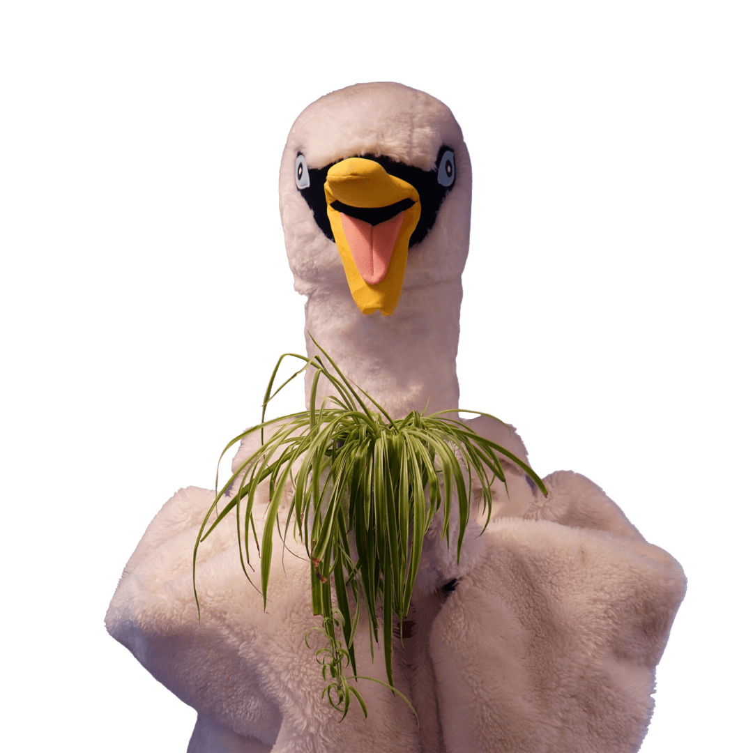 Lincoln Elections 2023 | University of Lincoln Students' Union