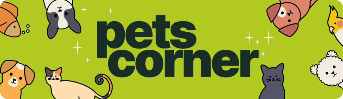 UoNSU Newsletter May, 2025