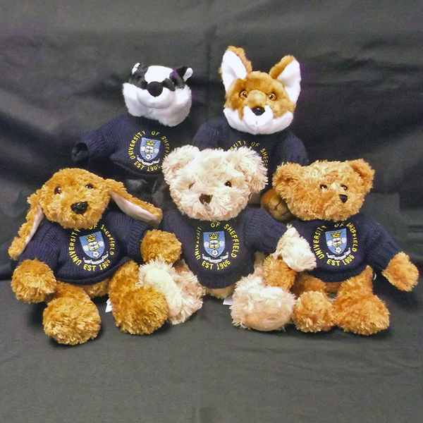 Graduation - Sheffield Students' Union